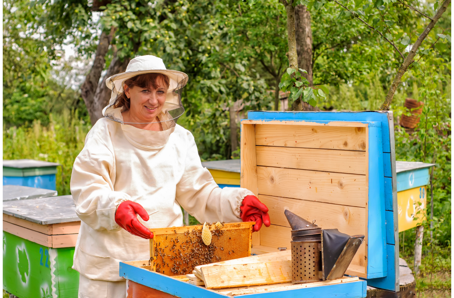 How to Look After Bees in Winter? | Beekeeping Gear Australia