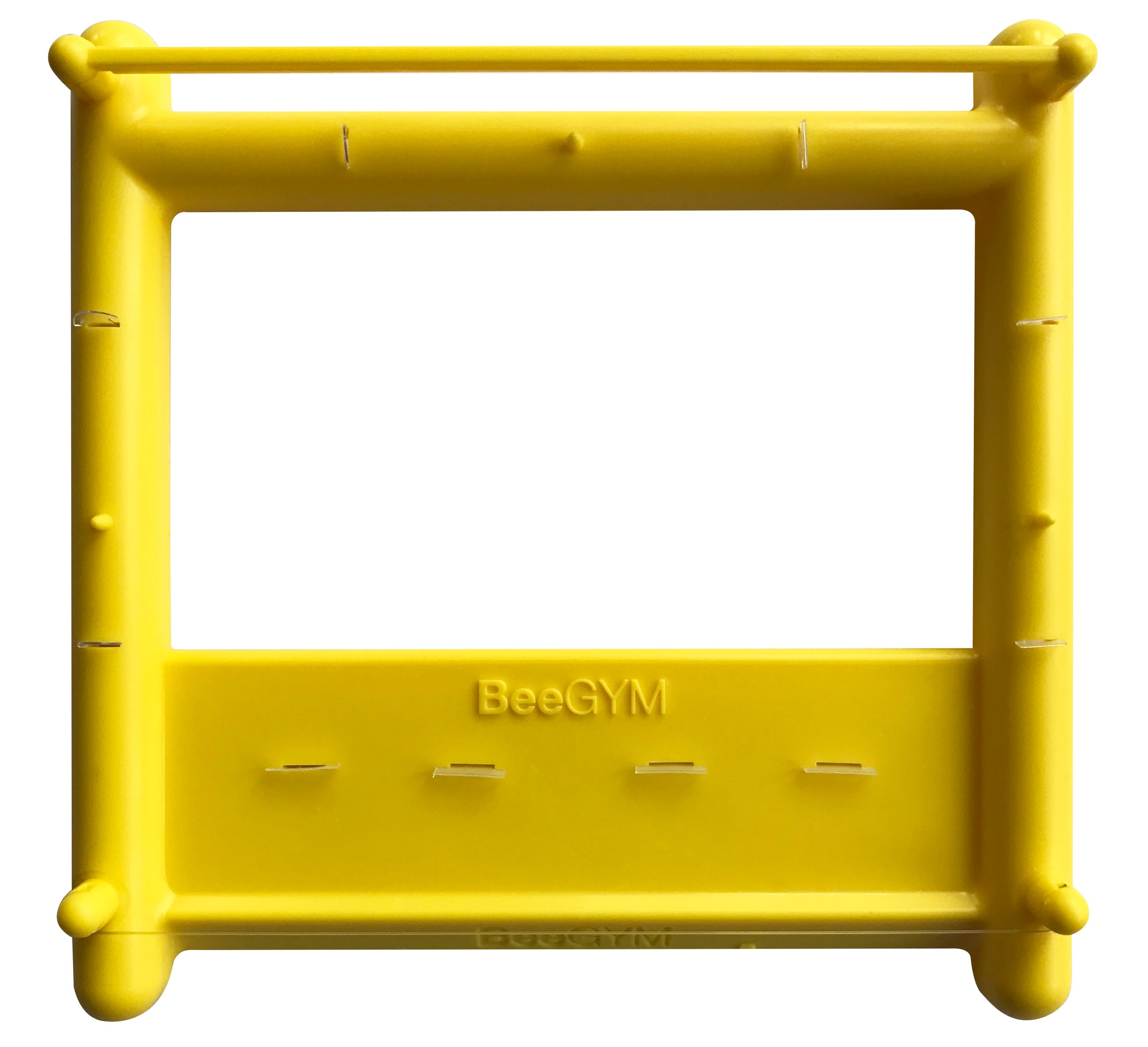 Buy Bee Gym Economical and Durable | Beekeeping Gear