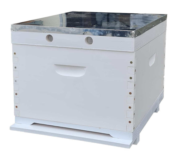 Buy Assembled & Painted Beehive with single box Lid & Base – Beekeeping ...